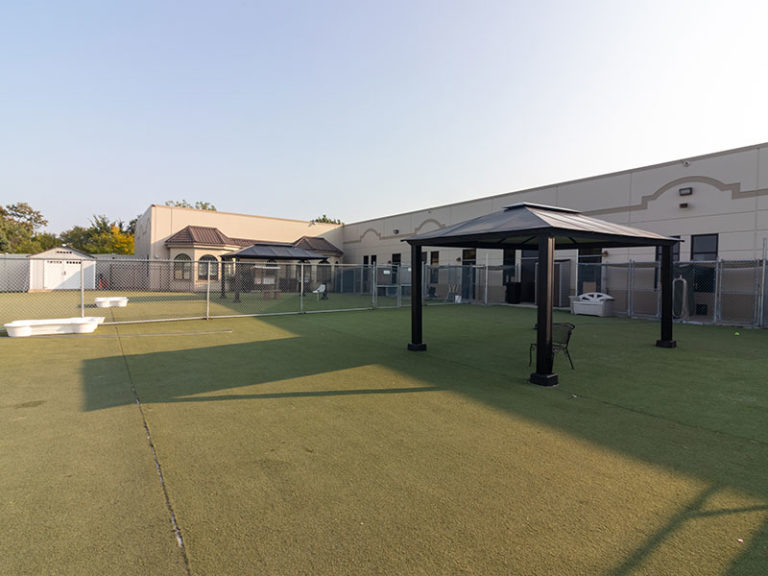 Our Resort - Pawsitively Heaven Pet Resort, Inc.